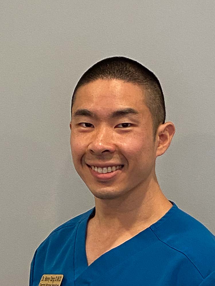 Dr. Stu Rubin | Dental Home Services | Meet the Dentists